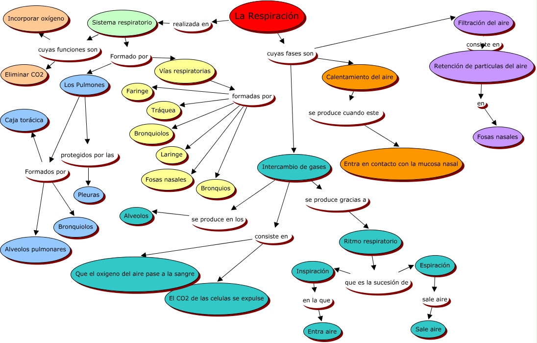 Cmap respiratorio Mikel Martiarena